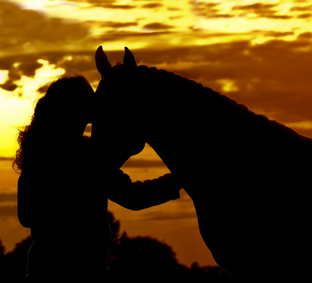 A Gentle End: Humane Equine Euthanasia