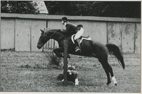 Jumping Clinic Classics: An Exemplary Crest Release